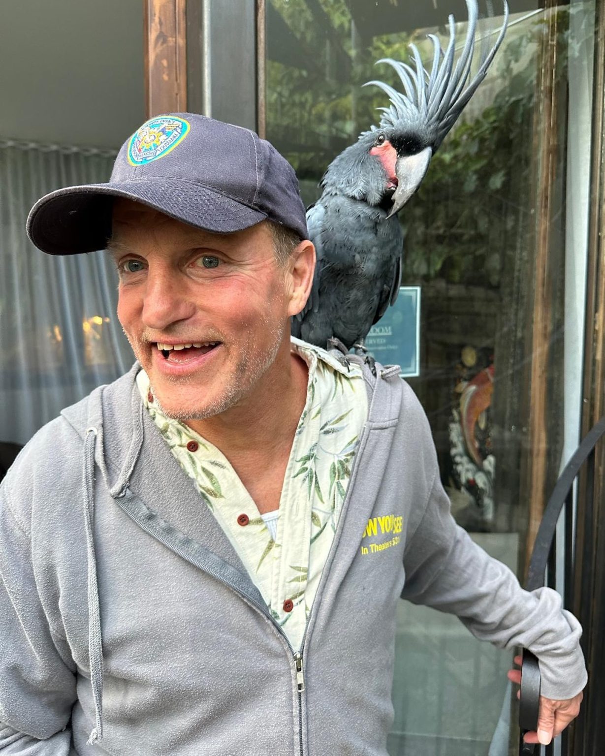 Who Is Woody Harrelson? Life, Career & Latest Updates - Perfectley